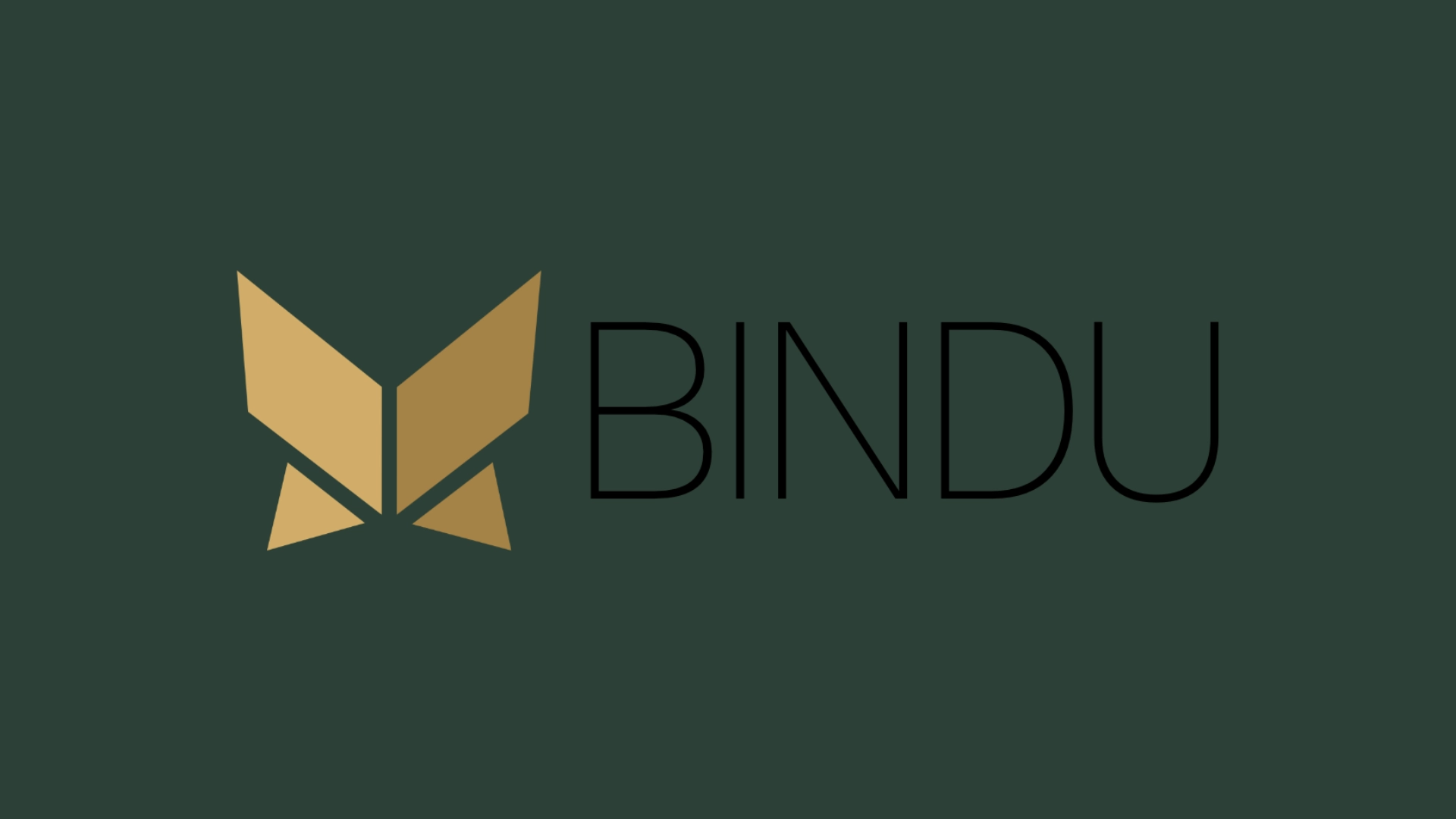 BINDU – Grow skills that matter – in the best way possible